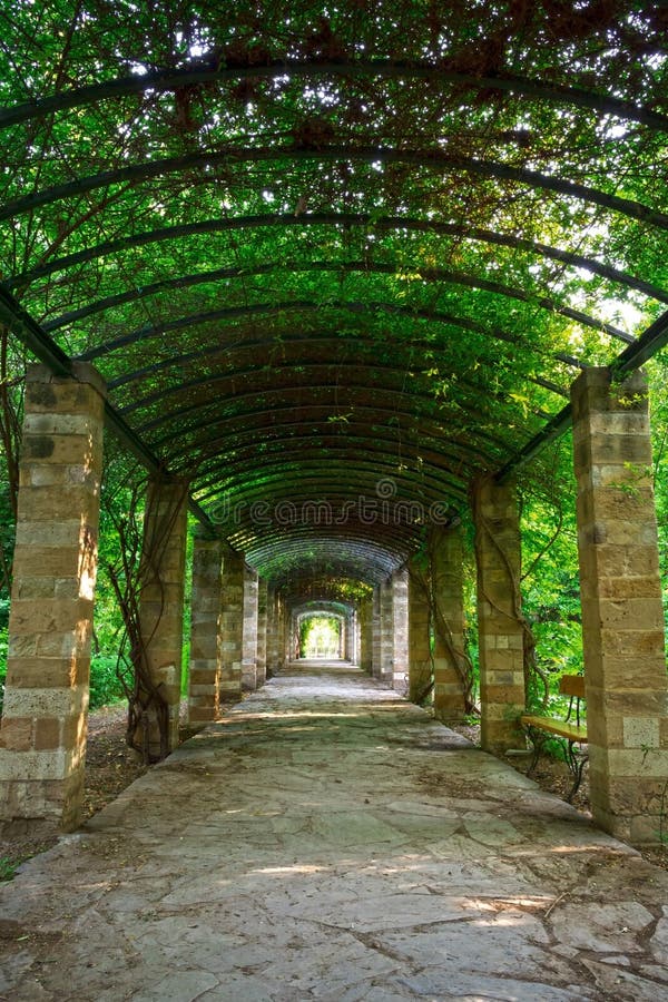 Garden passage stock photo. Image of covered, athenian - 58187578