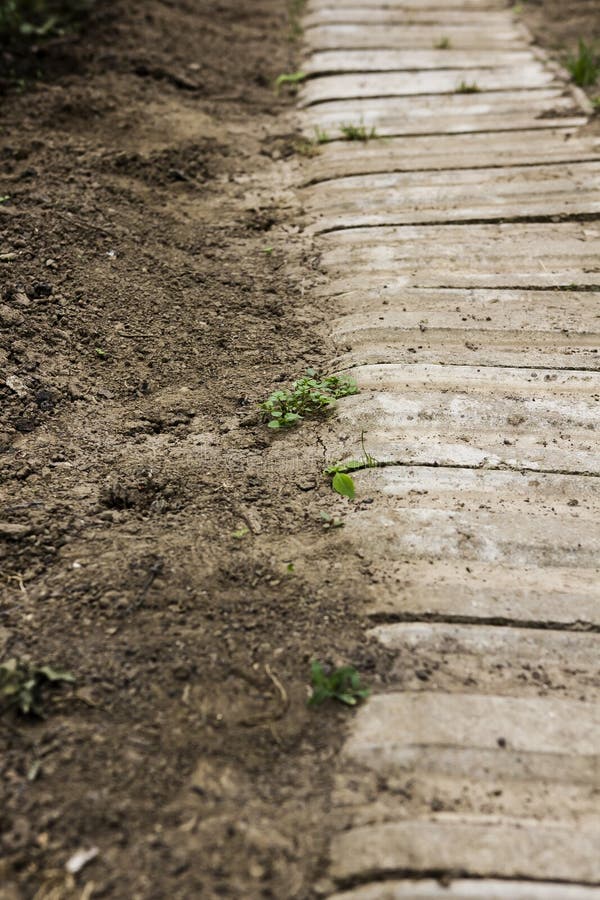 Garden patch with soil stock photo. Image of patchway - 54607096