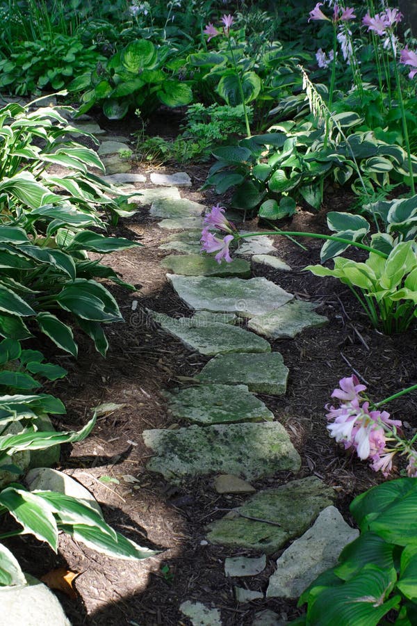 Garden Path stock image. Image of growth, garden, verdant - 1076735