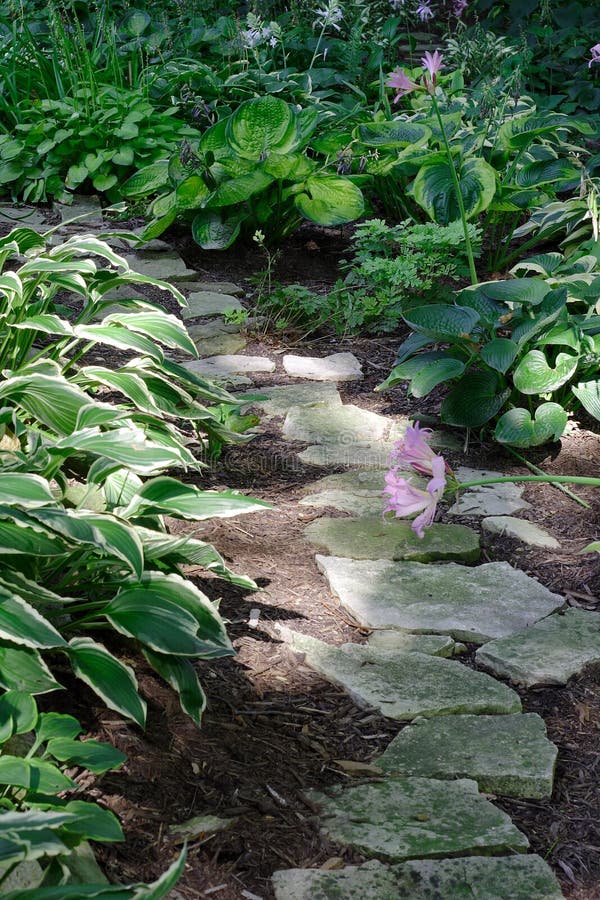 Garden Path stock image. Image of growth, garden, verdant - 1076735