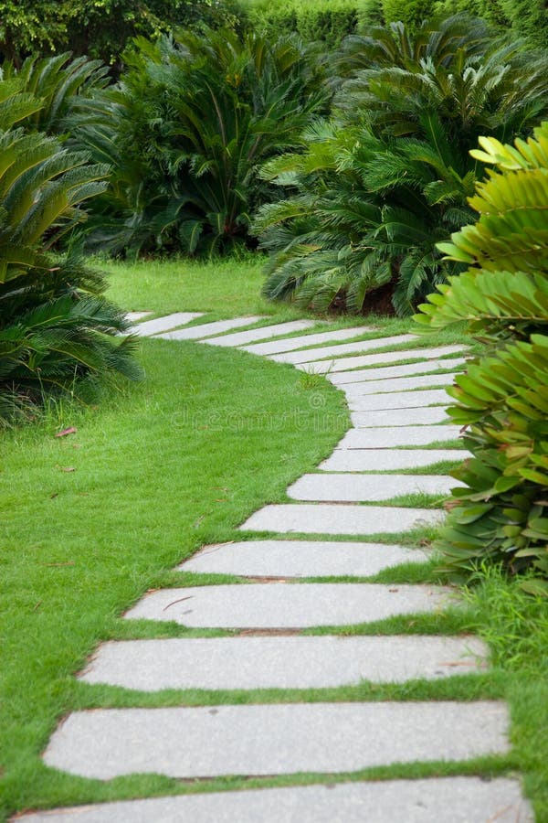 Garden path stock photo. Image of marble, outdoors, leaf - 13667336