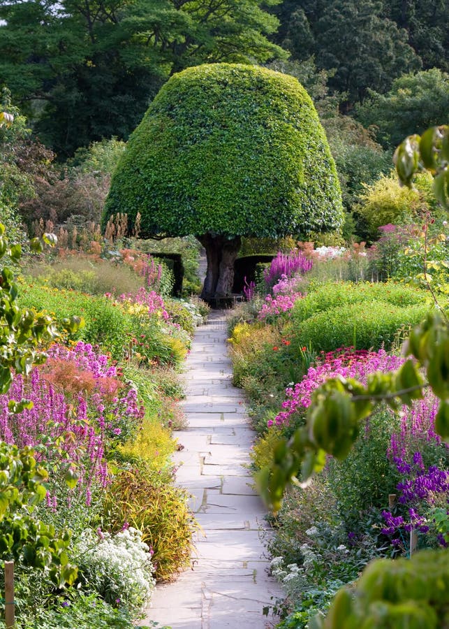 Garden path stock photo. Image of border, garden, shrubs - 13754968