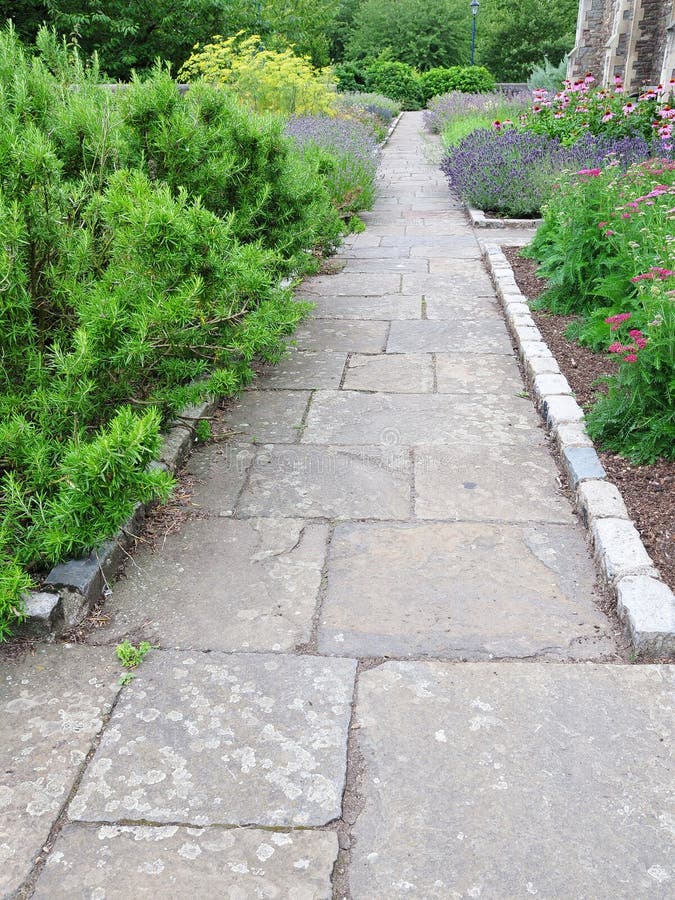 Tranquil Straight Garden Path Stock Photo - Image of health, forest ...