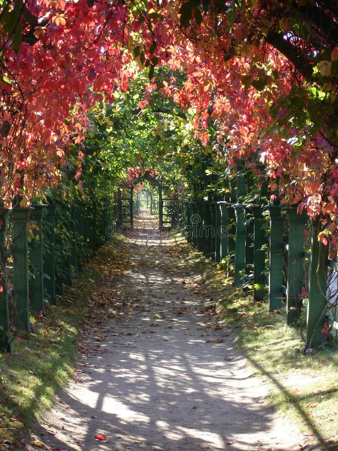 Garden path stock image. Image of season, passage, chair - 1736157
