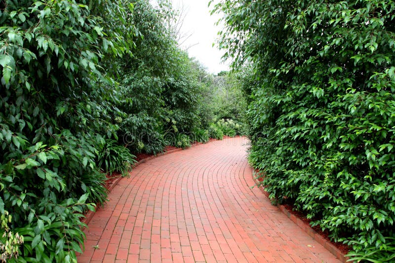 Garden path stock photo. Image of flora, outdoor, botanic - 19462676