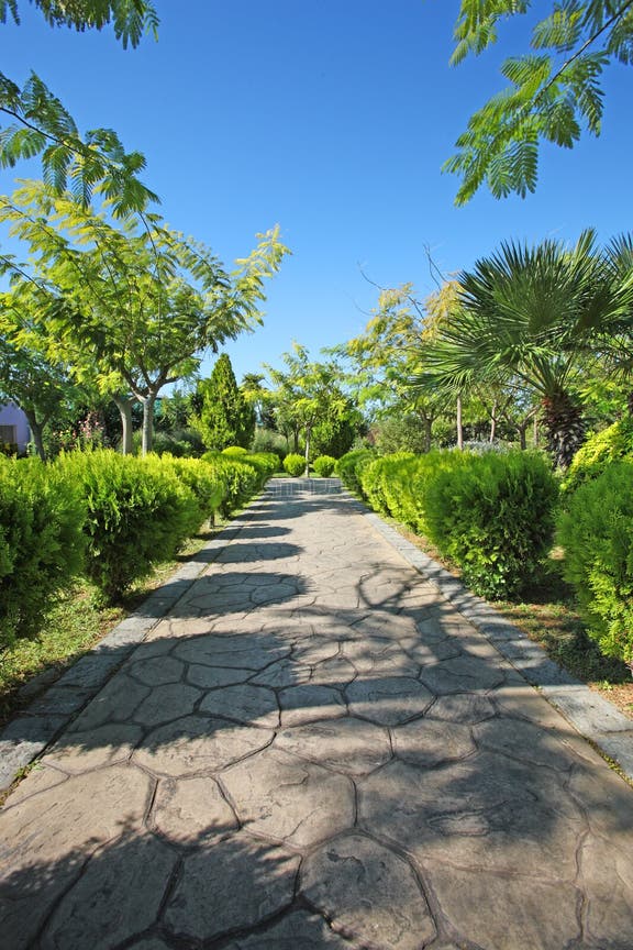 Garden path stock photo. Image of shrubbery, plants, manicured - 24373626