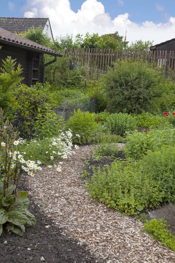 Allotment garden path stock image. Image of grass, lush - 43925859