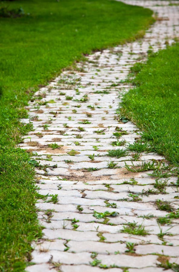 Curvy Brick Path in grass stock photo. Image of road - 23535422