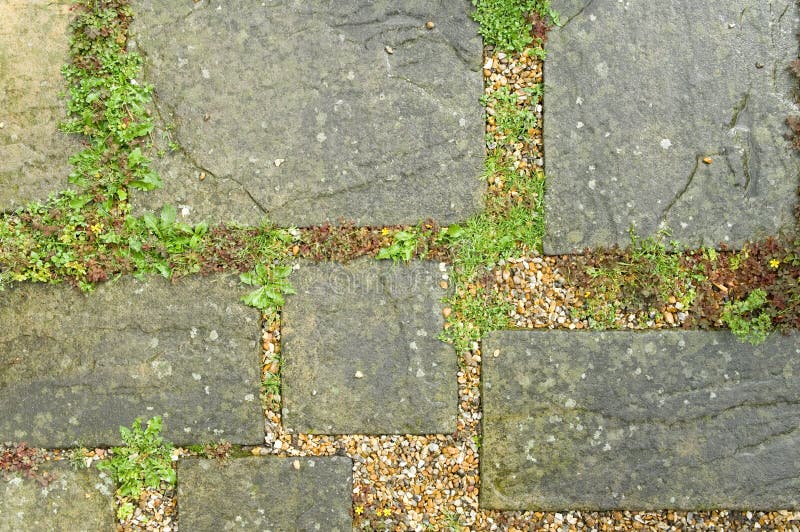 Garden path stock image. Image of path, damp, slabs, plants - 37874073