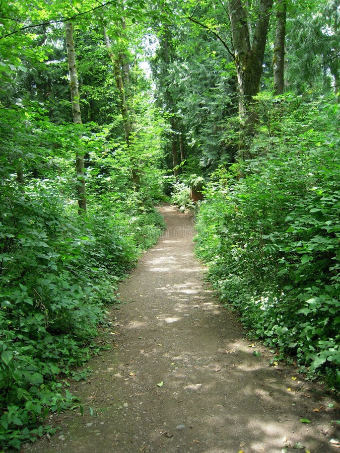 Garden Path stock photo. Image of path, nature, meander - 5961332