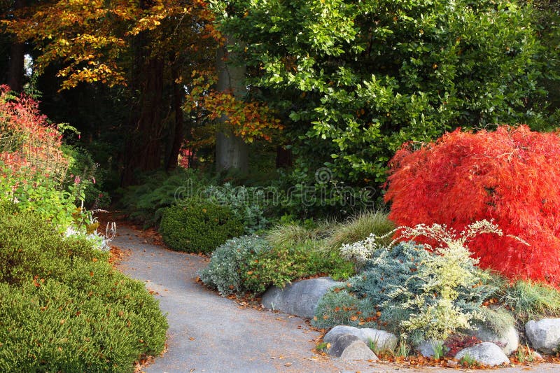Garden path stock image. Image of shrub, bush, landscape - 6878705