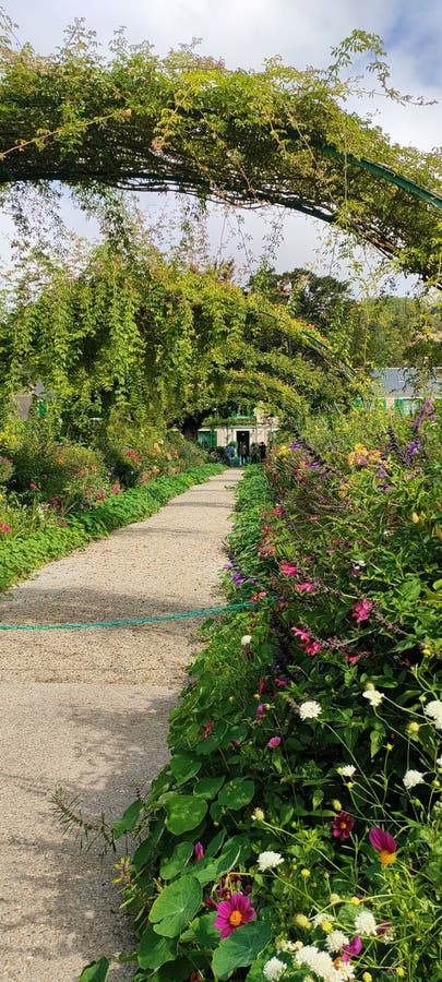 Garden path with arch stock image. Image of yard, backyard - 264267215