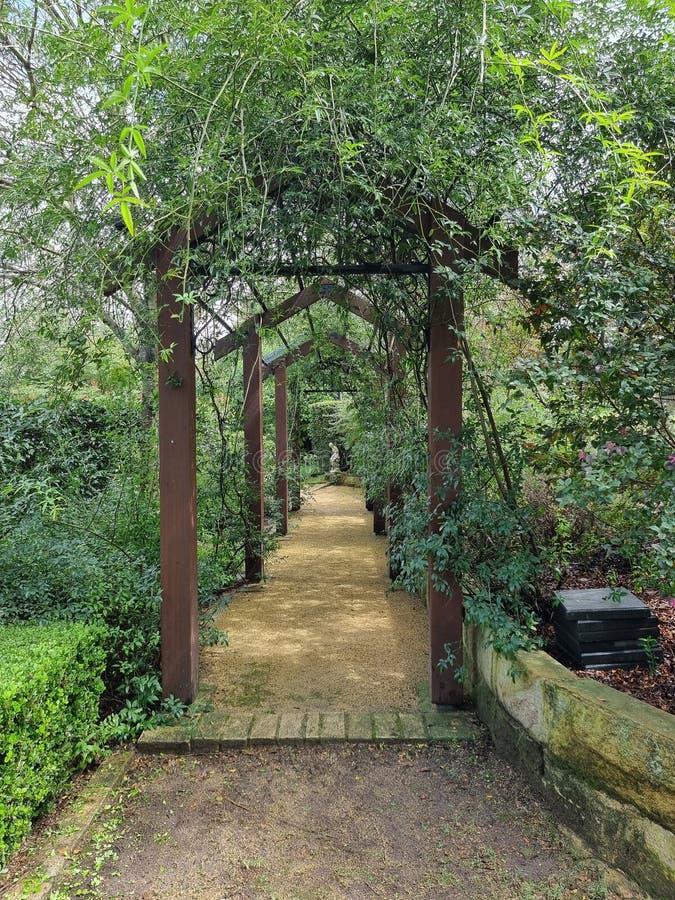 Garden Path and Arch Covered in Trees Stock Photo - Image of outdoors ...