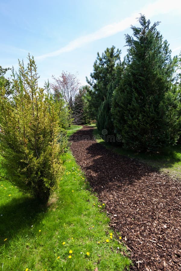 Garden Path with Bark Mulch Stock Photo - Image of botanical, nature ...