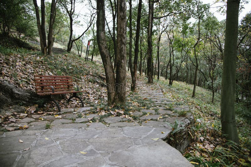 Garden path with bench stock image. Image of stones - 298536971
