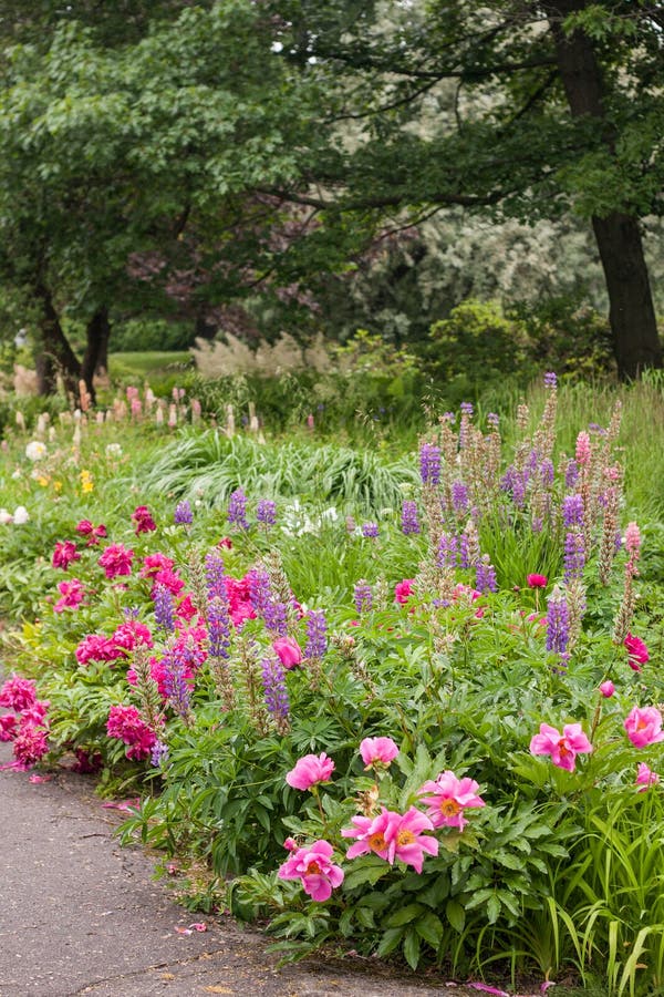 Garden Path in a Botanical Garden Stock Photo - Image of peaceful ...