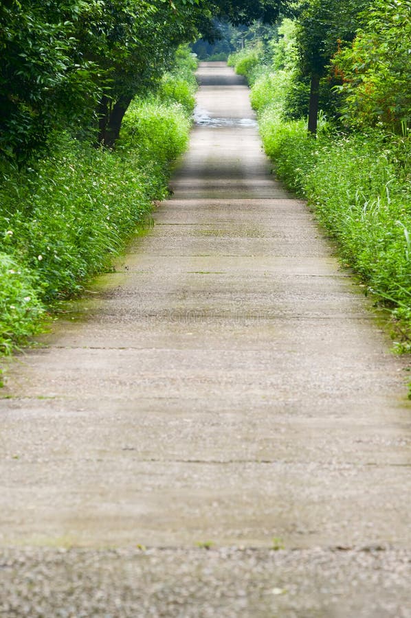 Path Free Stock Photos & Pictures, Path Royalty-Free and Public Domain ...