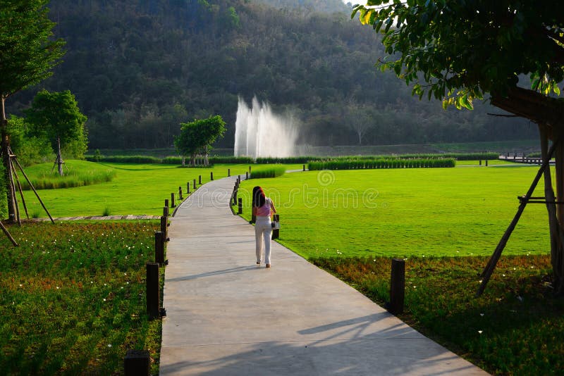 Garden path. stock photo. Image of concept, nature, green - 92215740