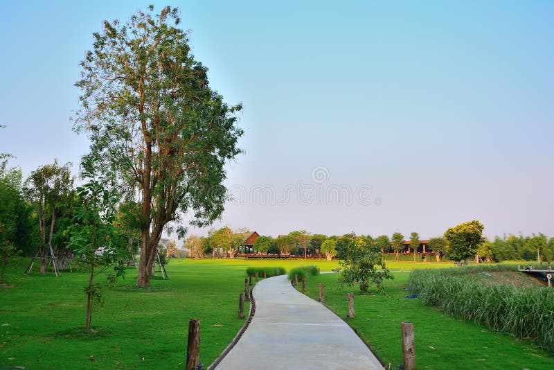 Garden path. stock image. Image of beautiful, landscaping - 92216889
