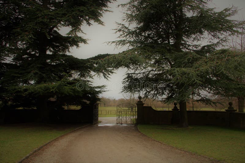 Garden Path with a Gate at the End Stock Image - Image of trees, gate ...
