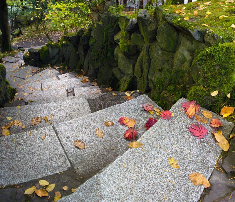 Garden Path Granite Stone Steps Stock Photo - Image of morning, colors ...