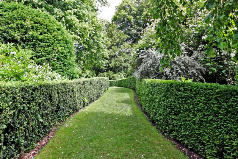 Path between hedges stock image. Image of form, palace - 28194919