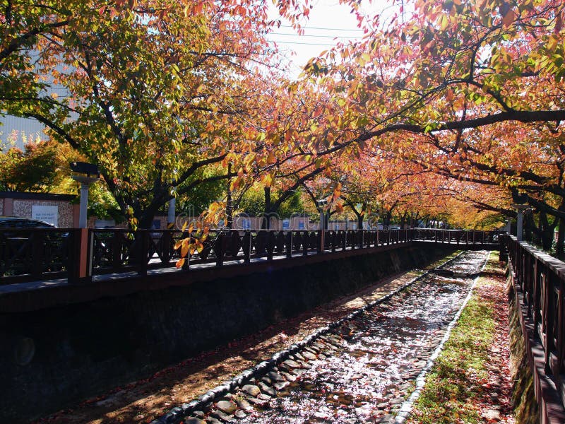 Garden Path at Japan stock image. Image of beautiful - 41399581