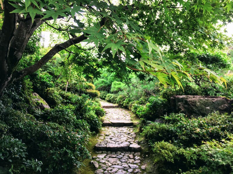 Garden path stock photo. Image of japanese, enclosed - 163886528