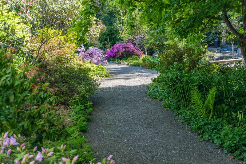 Garden Path Landscape stock photo. Image of outdoors - 146841274
