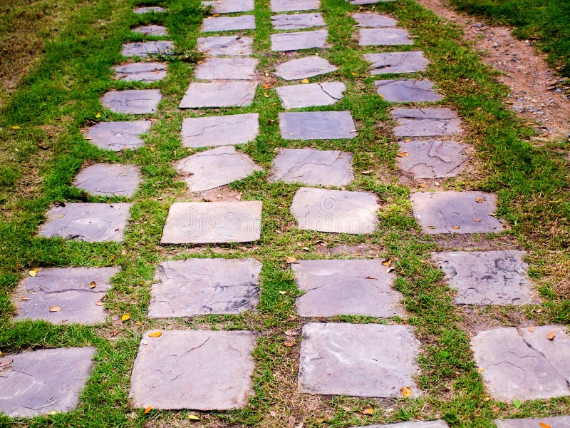Footpath on th green grass stock photo. Image of garden - 98707176