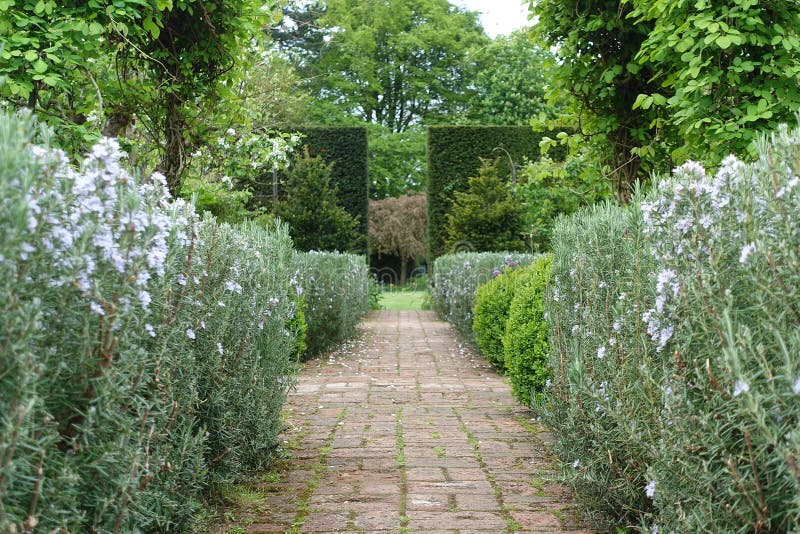 Garden Path Lined by Flowers and Plants Stock Photo - Image of home ...