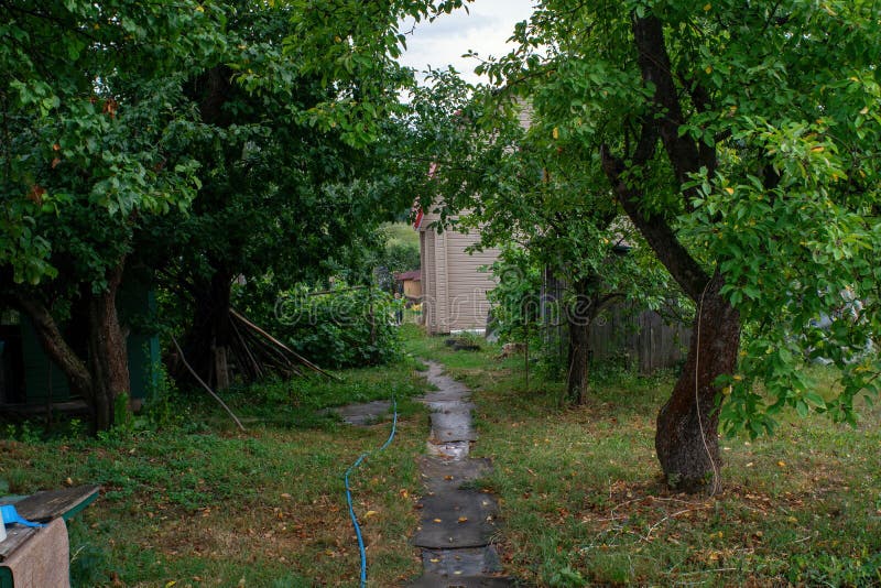 Garden Path Made of Rubber after Rain Stock Image - Image of ground ...