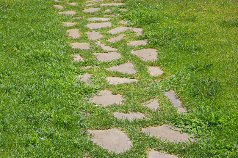 A Path Made of Rocks in Nature Stock Image - Image of pond, rock: 258406391