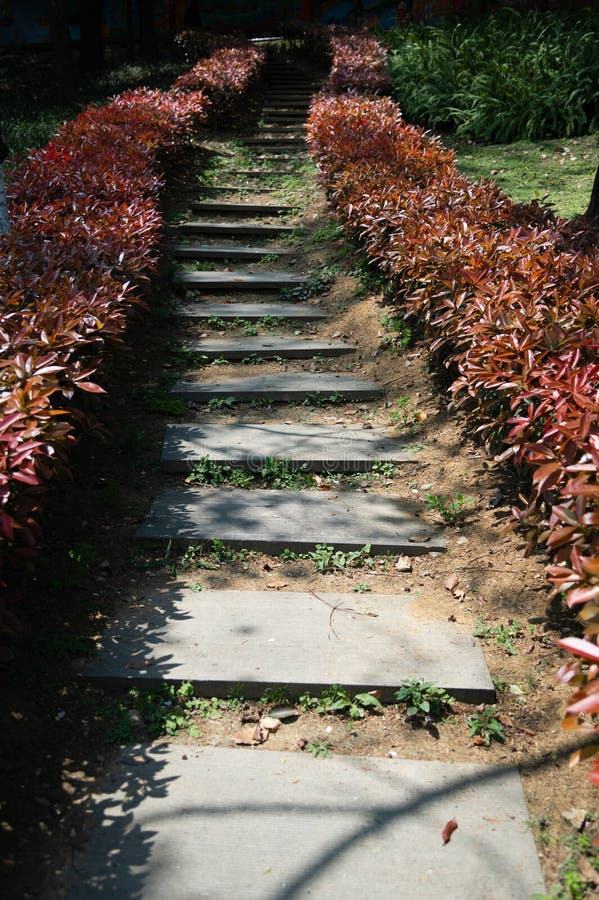 Garden Path in park stock image. Image of gardening - 273988019