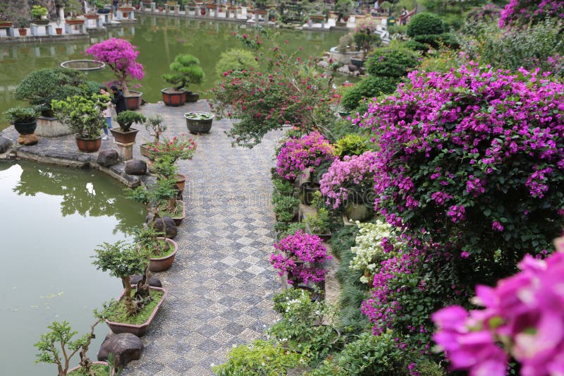 A Garden with a Path and a Pond with Purple Flowers Stock Image - Image ...
