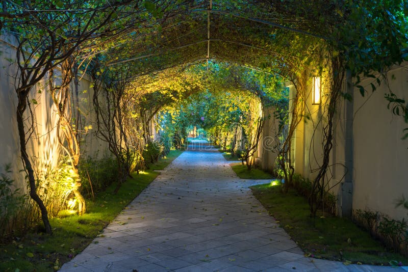 Garden Path in Resort with Warm Light and Trees on Side at Evening ...
