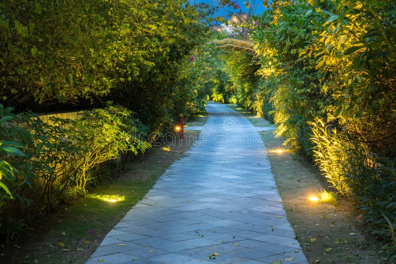 Backyard Garden Path Night Stock Images - Download 127 Royalty Free Photos