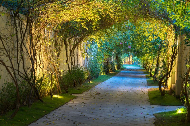 277 Backyard Garden Path Night Stock Photos - Free & Royalty-Free Stock ...