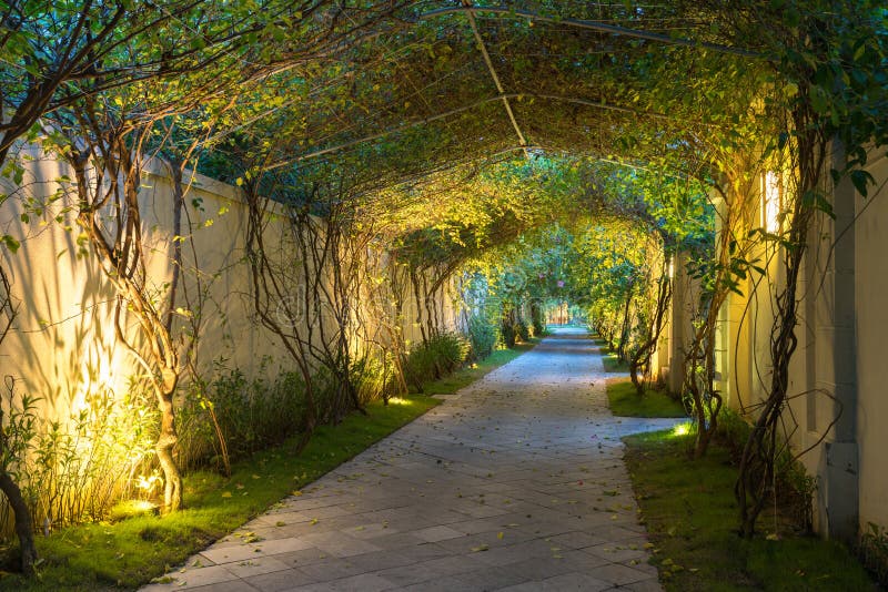 Garden Path in Resort with Warm Light and Trees on Side at Evening ...