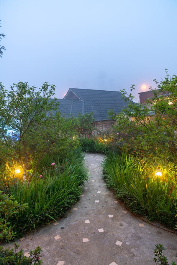 Garden Path in Resort with Warm Light and Trees on Side at Evening ...