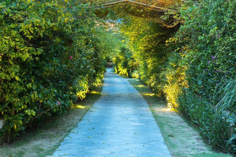 Path on a resort stock photo. Image of summer, masion, room - 192898