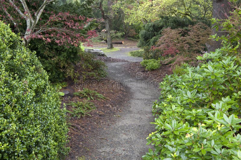 Garden path stock image. Image of yard, seattle, trees - 39957553