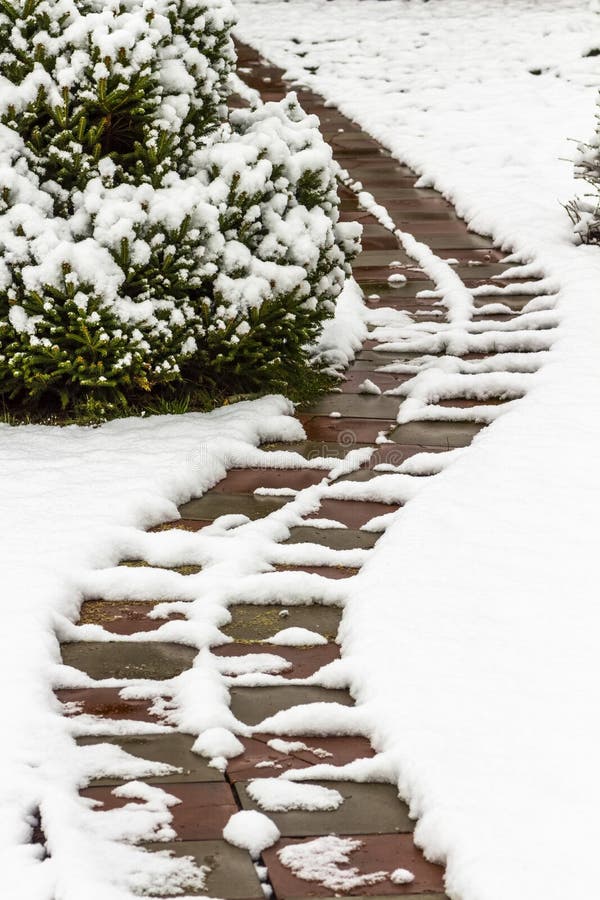 Path in the snow stock photo. Image of clear, climate - 145171752
