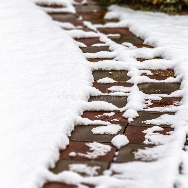 Path in the snow stock photo. Image of seasonal, frosty - 145170688