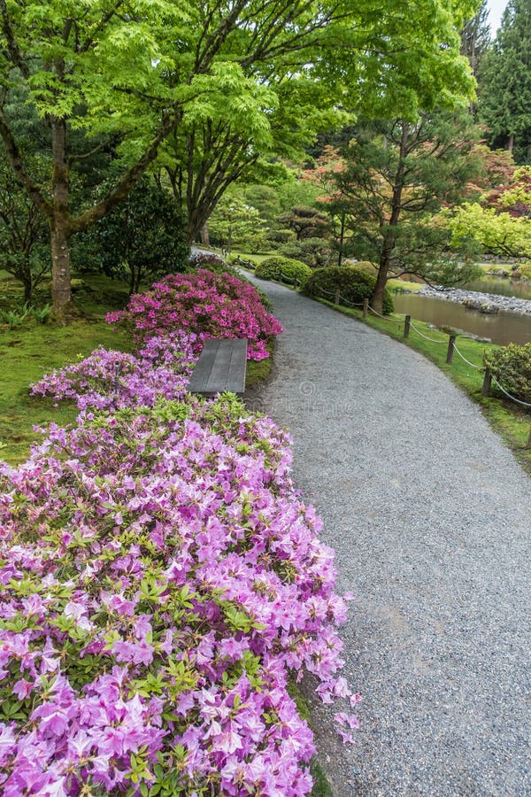 Garden Path in Spring 2 stock photo. Image of seattle - 92726396