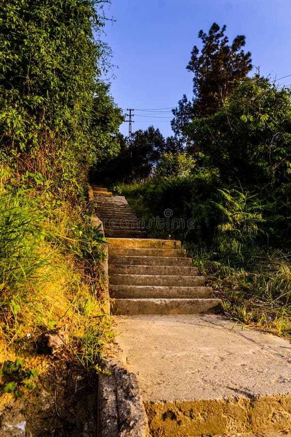 Garden Path Steps stock image. Image of beautiful, path - 92837897