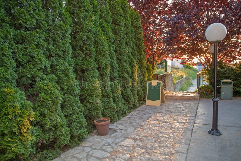 Garden Path stock image. Image of outdoor, evergreen - 139191397