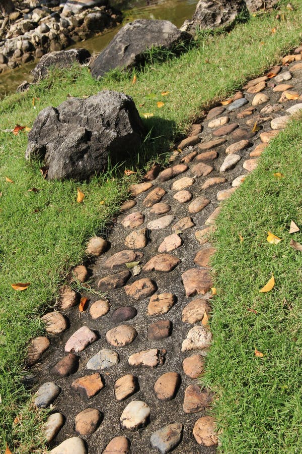 5,692 Stone Path Green Grass Garden Texture Photos - Free & Royalty ...