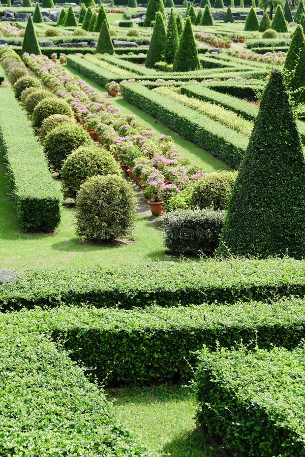 Garden Path with Topiary Landscape Stock Photo - Image of scene, path ...