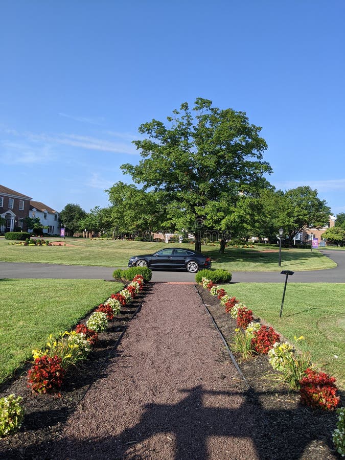 Garden Path Tree Blue Sky Black Car Stock Photo - Image of lawn, black ...
